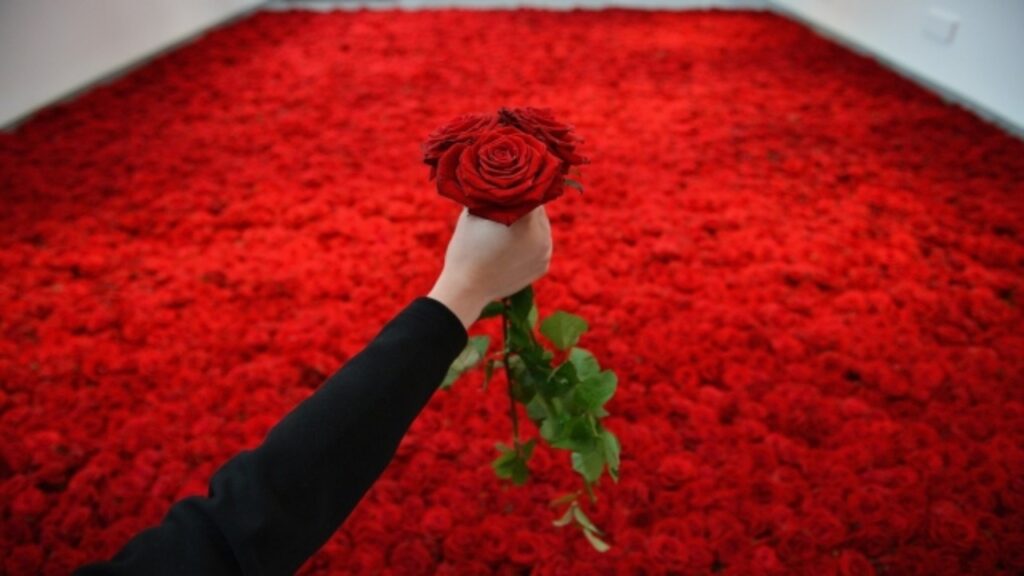 Cosa significa quando uno sconosciuto ti regala una rosa?