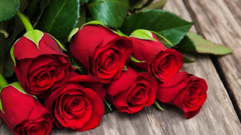 Cosa significa quando uno sconosciuto ti regala una rosa?